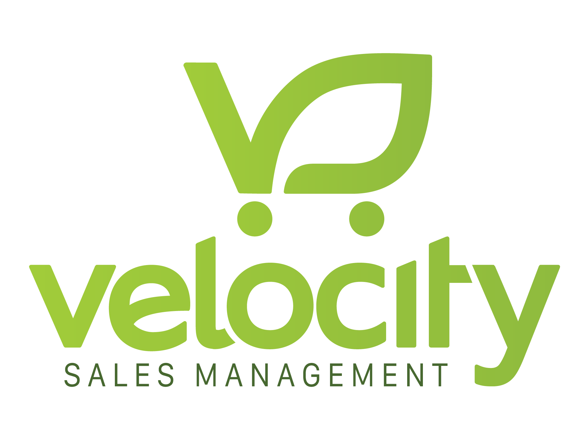 Velocity Sales Management